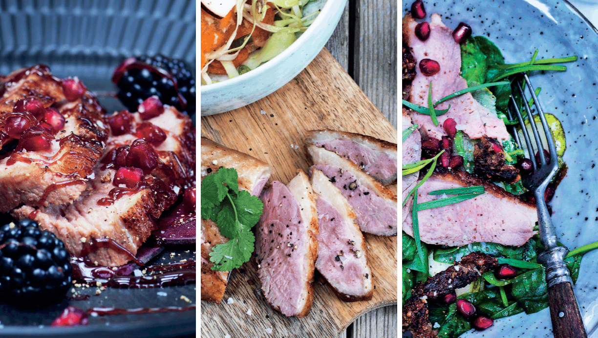 Andebryst året rundt - find lækre opskrifter lige her!