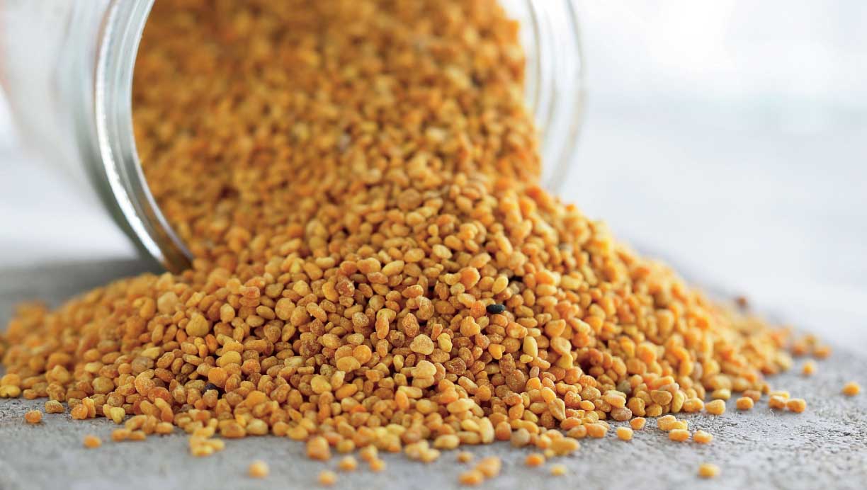 Superfood: Bipollen - Derfor er bipollen så sundt | femina